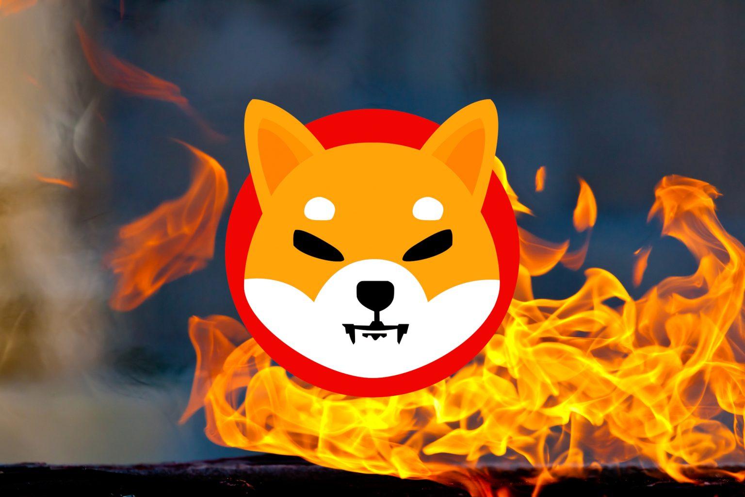 Shiba Inu Coin Burn Mechanics: How Many SHIB Coins Have Been Burned so ...