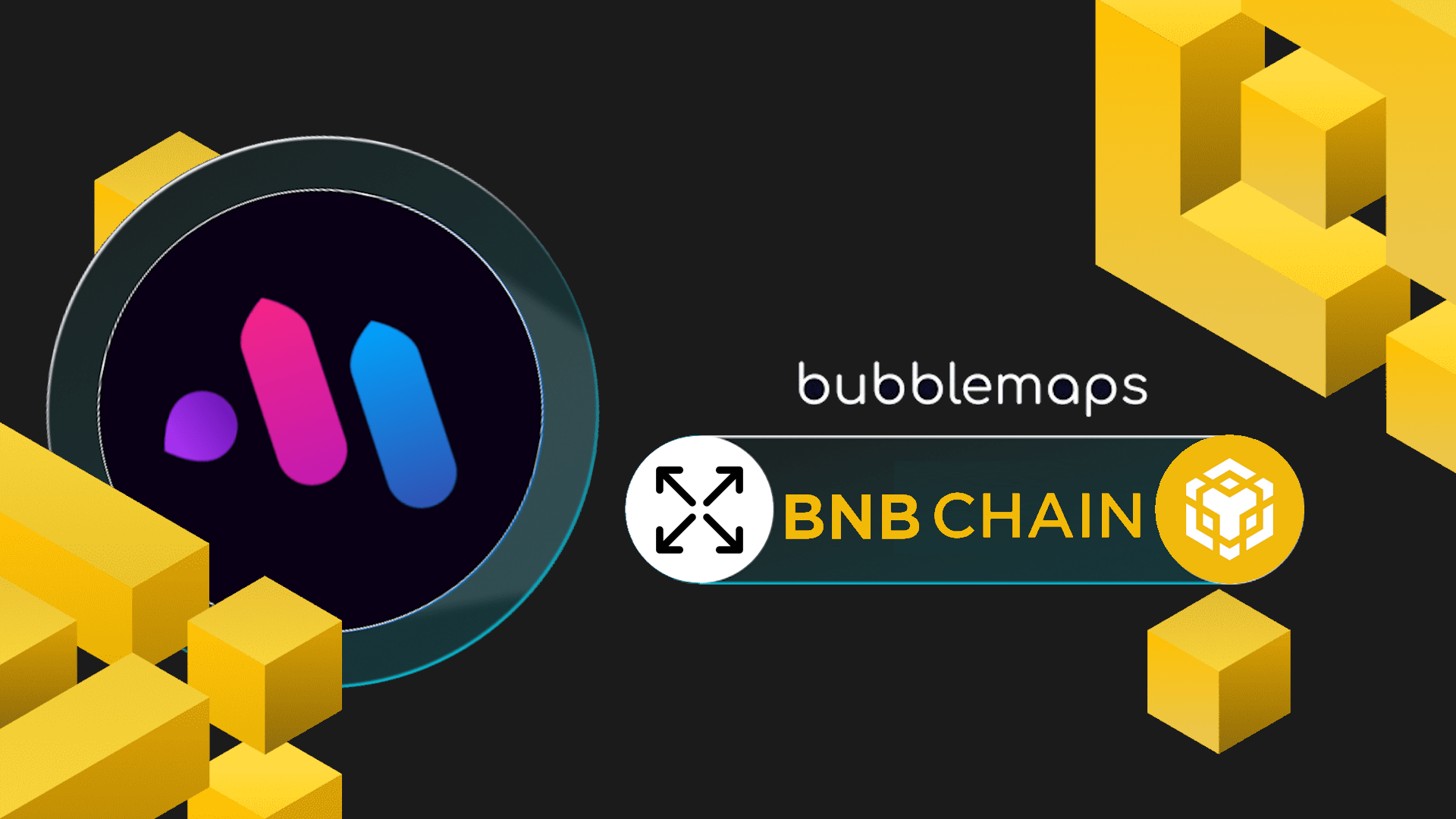 Bubblemaps Brings Real-Time Blockchain Analytics to BNB Chain - CoinCheckup